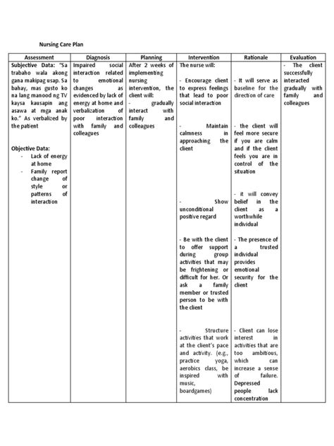 Ncp 1 Bp Ii Final Pdf Self Esteem Behavioural Sciences