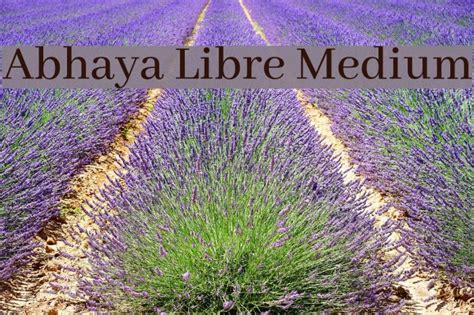 abhaya libre medium font