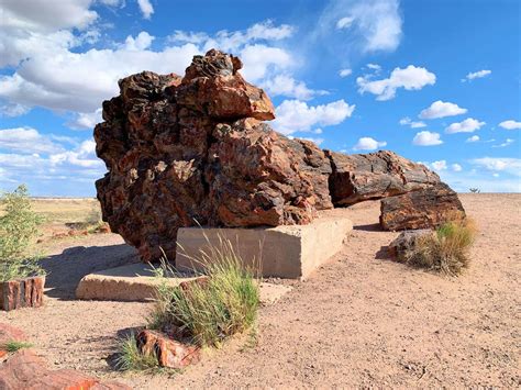 Petrified Forest National Park