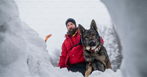 겨울에 숲에서 야외에서 눈을 파는 개를 데리고 있는 산악 구조 서비스 남자의 낮은 각도 보기 사진 Unsplash의 개 이미지