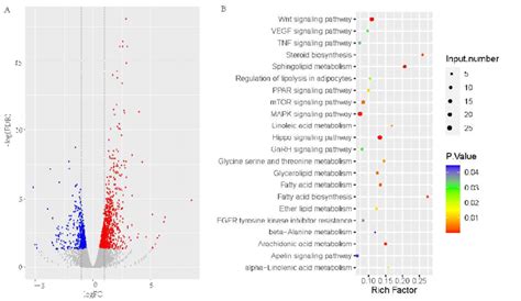 Volcano Plot For Differentially Expressed Genes Degs And Bubble Plot