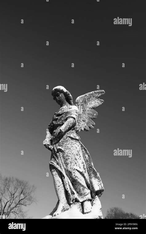 A Winged Angel Standing Tall Against The Clear Sky In A Black And White