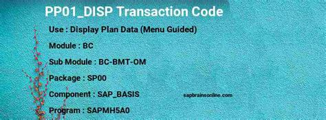 PP DISP SAP Tcode For Display Plan Data Menu Guided