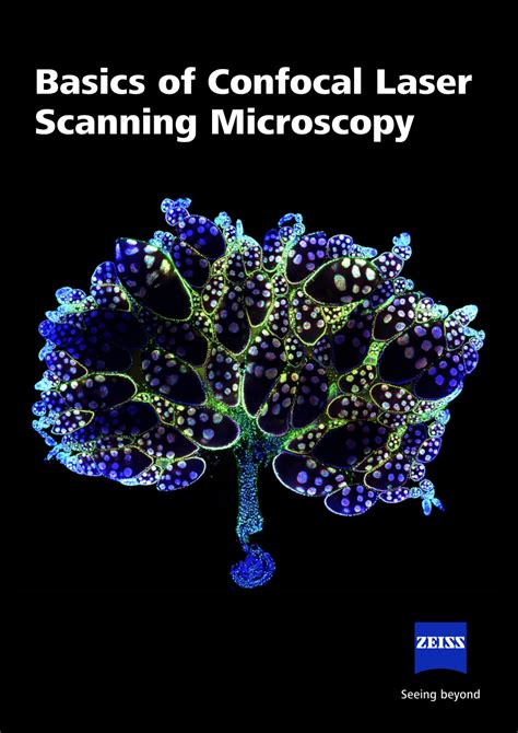 Pdf Basics Of Confocal Laser Scanning Microscopy Preface