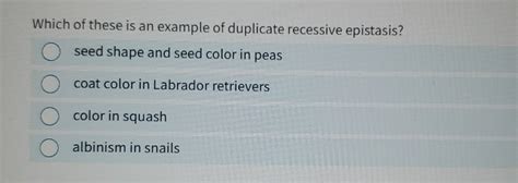 Solved Which Of These Is An Example Of Duplicate Recessive