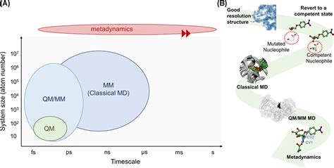 Schematic Representations Of The Methodologies Described In This Download Scientific Diagram