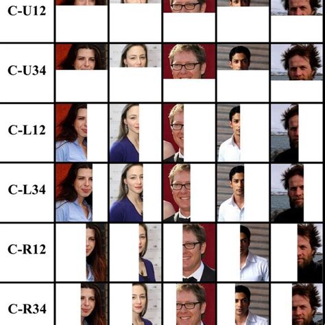 Modified Celeba Dataset Samples For Partial Faces Download