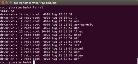 【lfs Linux From Scratch】lfs系统准备lfs Make Mrproper Csdn博客