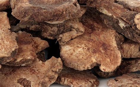 Builds Energy White Rabbit Institute Of Healing