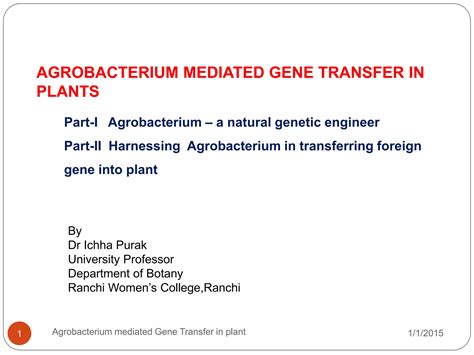 Agrobacterium Mediated Gene Transfer In Plants Pptx