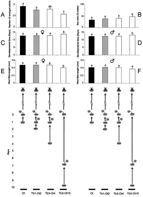The Number Emerging A Sex Ratio B Developmental Time And Size Of Download Scientific