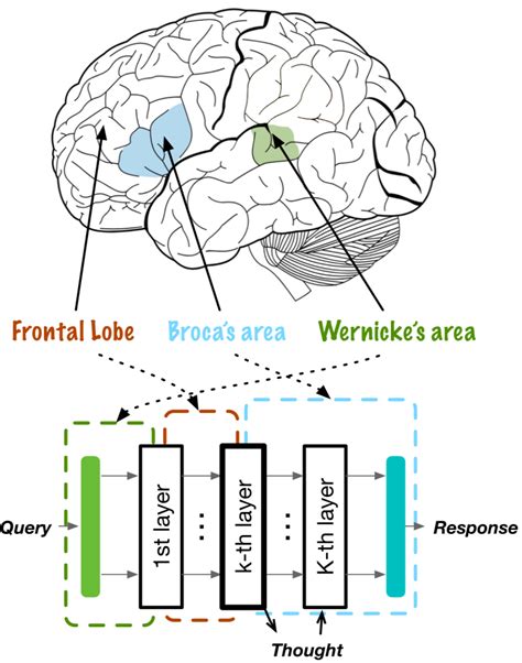 論文レビュー Methanol Modularized Thinking Language Models With Intermediate Layer Thinking