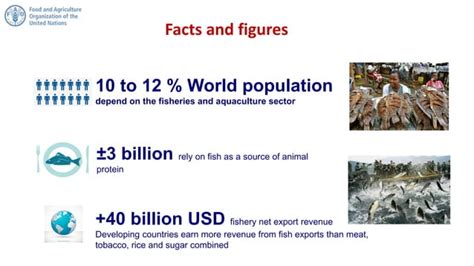 Opportunities For Ecosystem Based Adaptation In Coastal And Marine Ecosystems Pdf