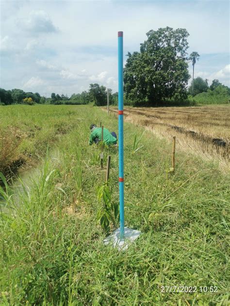 Poledetection Object Detection Dataset And Pre Trained Model By Treeanno