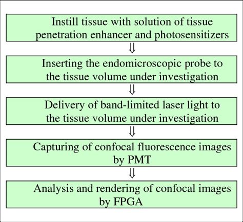 The Proposed Workflow Of Virtual Histology Download Scientific Diagram