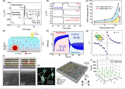 Figure 3 From Electrolyte Gated Transistors For Synaptic Electronics