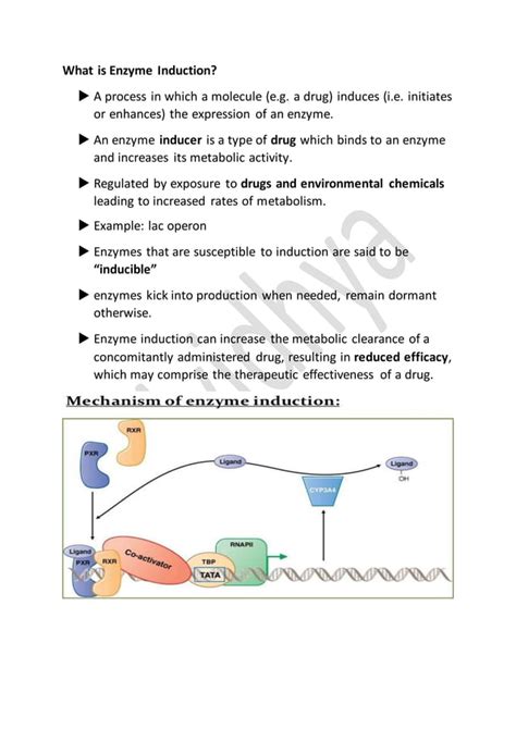 Enzyme Induction And Repression Pdf