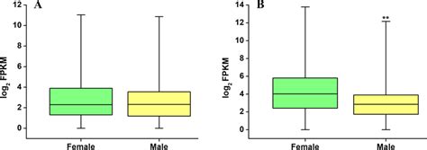 Boxplot Showing The Mean Expression Levels FPKM Of Female And