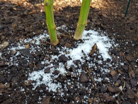 山东明兴化工有限公司 购买氯化石蜡 硫酸镁 镁肥一水合物 氧化镁