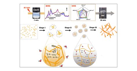Three Stages Of Dynamic Assembly Process Of Dipeptide Based