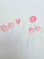 Easy How To Draw Tulips Step By Step Guide With Watercolors Picture Box Blue