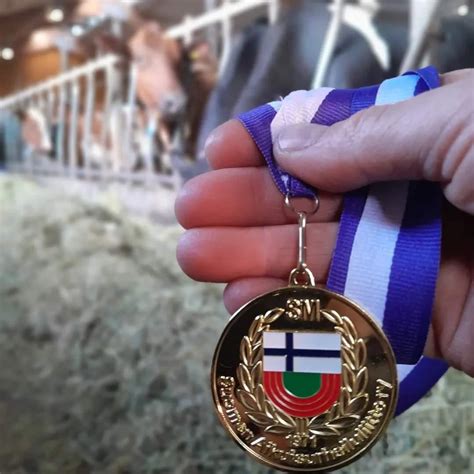 Heidille Sm Kultaa Kaipolan Vire