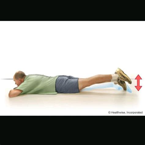 Reverse Flutter Kicks By Lacy H Exercise How To Skimble