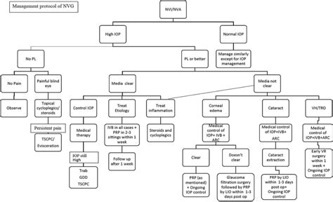 Flow Chart Showing The Recommended Treatment Protocol Of Nvg Download Scientific Diagram