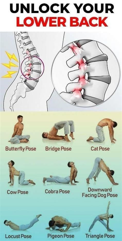 8 Stretch Exercises To Relieve Lower Back Pain Artofit