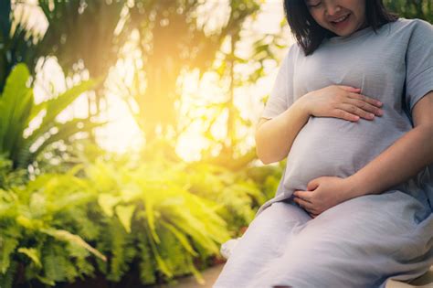 임신 한 여자는 그녀의 아이를 돌보는 동안 집에서 행복을 느낀다 임신 한 배에 아기를 들고 젊은 기대 어머니 출산 전 관리 및 여성 임신 개념 개념에 대한 스톡 사진 및