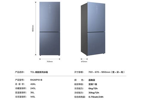 精厨系列冰箱p10 B