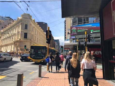뉴질랜드 관리형 조기유학필리핀과 뉴질랜드 영어캠프 비용대학 진학률 높은 학교 네이버 블로그