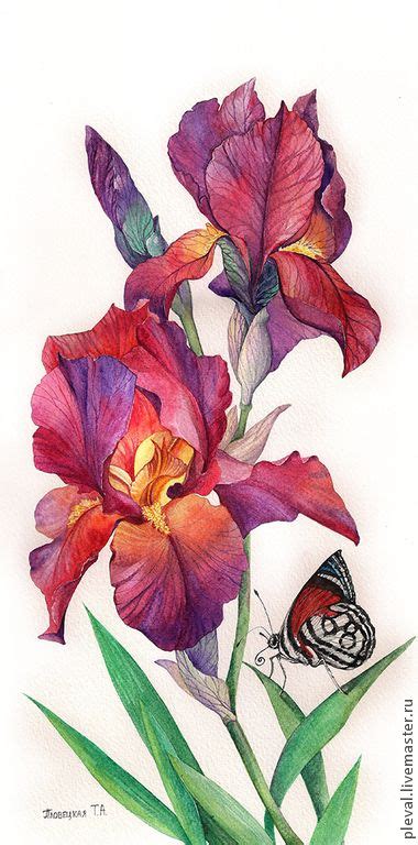 Картина акварелью Малиновые ирисы и бабочка в интернет магазине на Ярмарке Мастеров Подольск