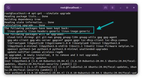 sudo apt update vs upgrade what s the difference