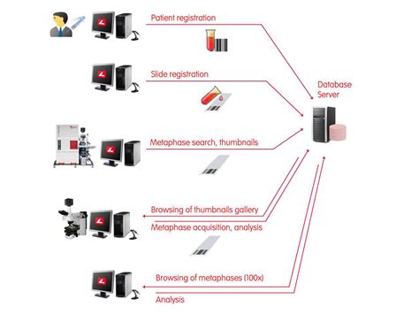 Luciacz Laboratory Imaging Sro