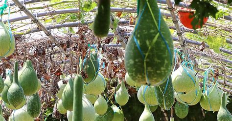 계절은 여름 지나 가을로