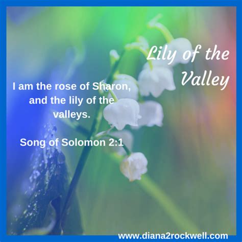 Lily Of The Valley Diana Rockwell