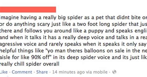 Rtrees Is That Way Imgur