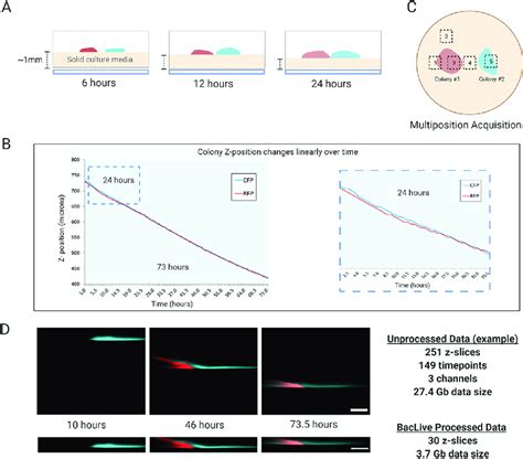 Technical Settings For Experimental Processing And Data Analysis A