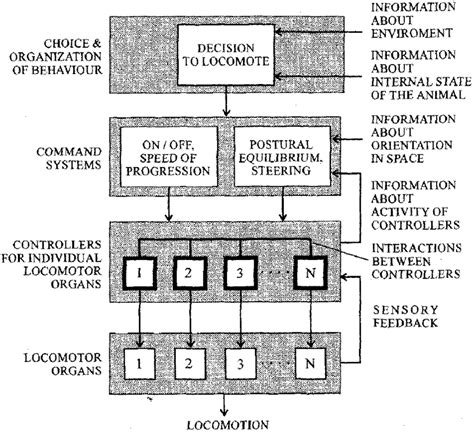 An Overview Of The Neural Control Of Locomotion That Applies Across