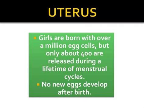 Anatomy Of Female Genital Tract Pptx