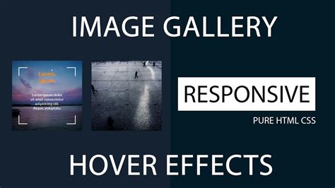 Css Responsive Image Gallery Css Tutorial How To Create Responsive