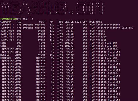 scan open ports using ss netstat lsof and nmap yeah hub