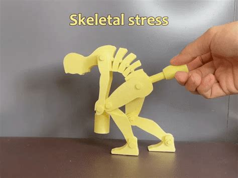 Manual Handling Lifting Model Demonstrator Pre Hospital Flashcards Guides And Medical Supplies