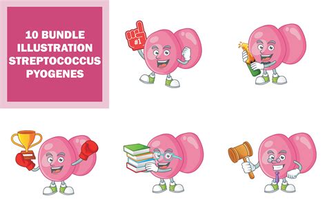 Streptococcus Pyogenes Bundle Graphic By Kongvector2020 · Creative Fabrica