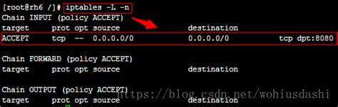 Linux上部署tomcat及web项目（亲测）linux下tomcat Csdn博客