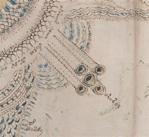 Voynich Manuscript Finally Decoded Medieval Sex Secrets May Hide In