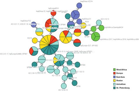 Phylogenetic Tree Of Indel Genotypes Constructed By Using The Mst