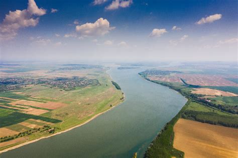Изчезнали и завърнали се видове в река Дунав Вестник Утро