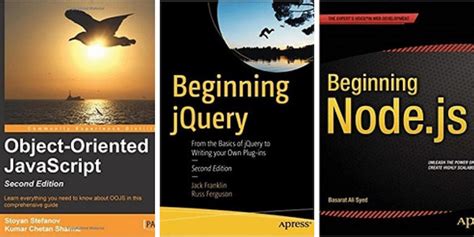 20 Best Javascript Books For Every Web Developer Biztips